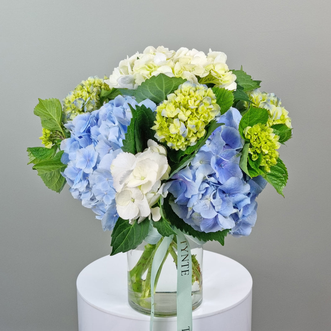 Summer Favourites – Tynte Flowers